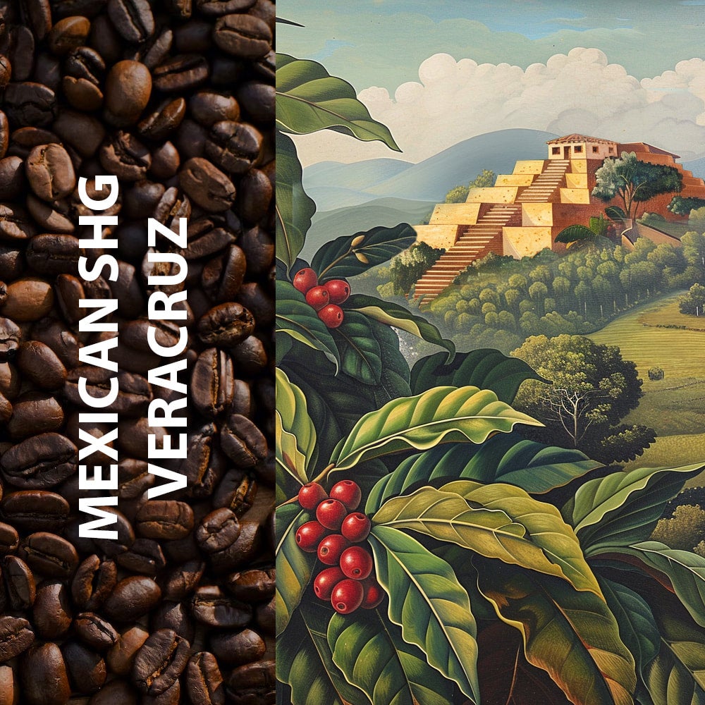 Mexican Veracruz SHG Coffee